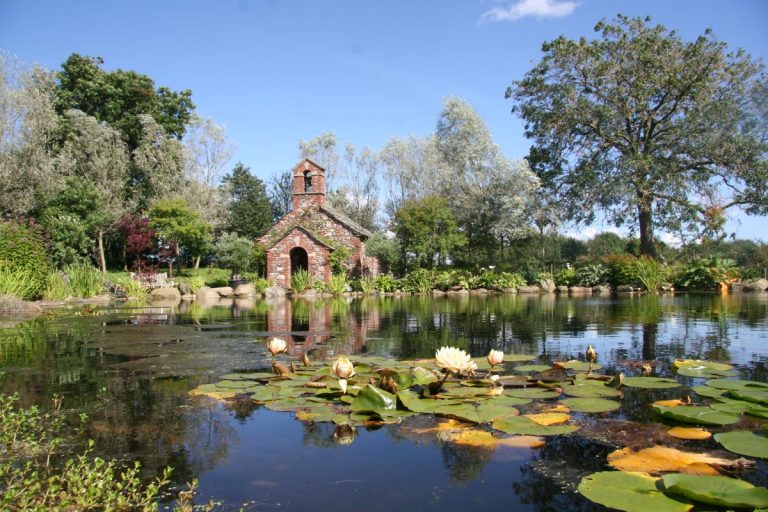 Picture Gallery – Larch Cottage Nurseries